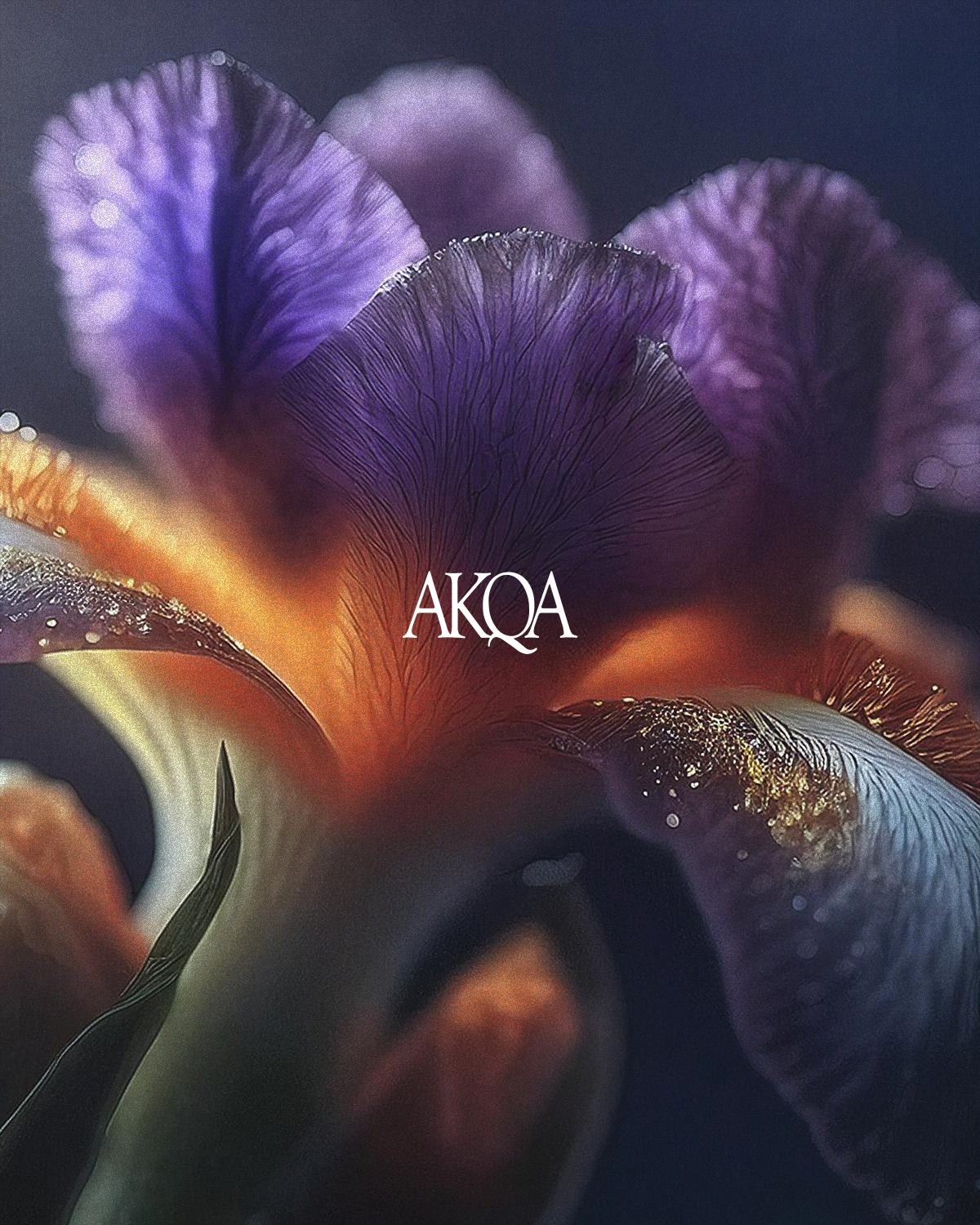 FamousGrey est maintenant officiellement AKQA Brussels